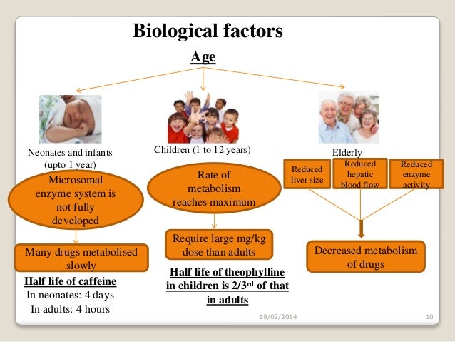Factors That Influence Child Development - ClassNotes.ng