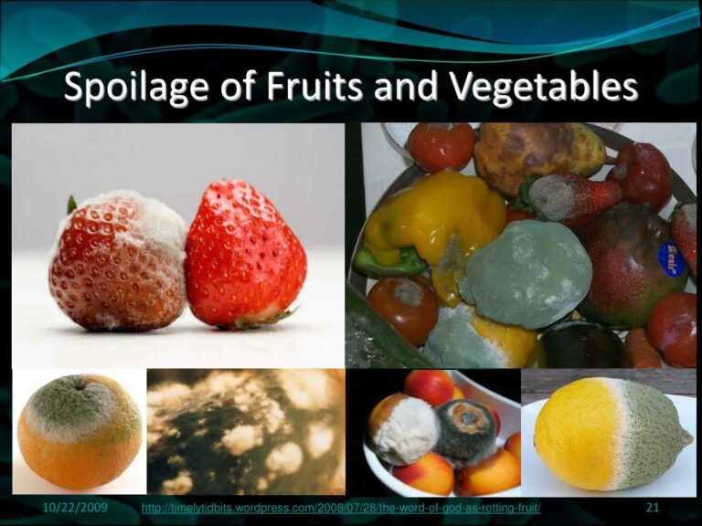 Sensory Signs of Food Spoilage and Causative Microorganisms - Class Notes