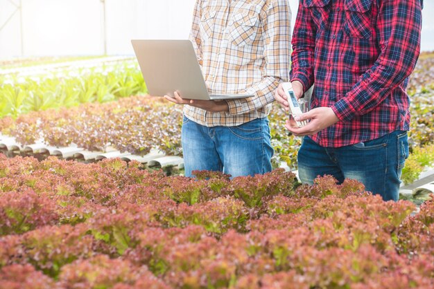 Meaning and Uses of Farm Records - ClassNotes.ng