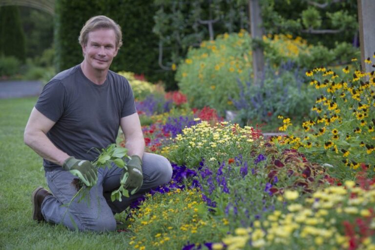 Meaning of Post-planting Operations - ClassNotes.ng