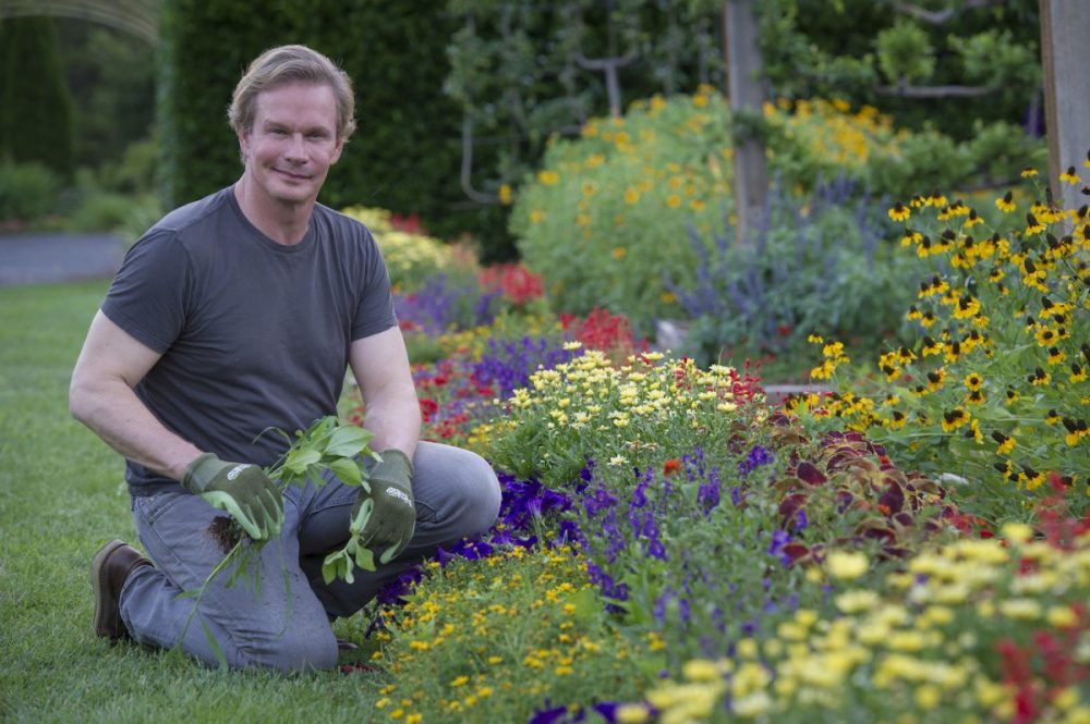 Meaning of Post-planting Operations - ClassNotes.ng