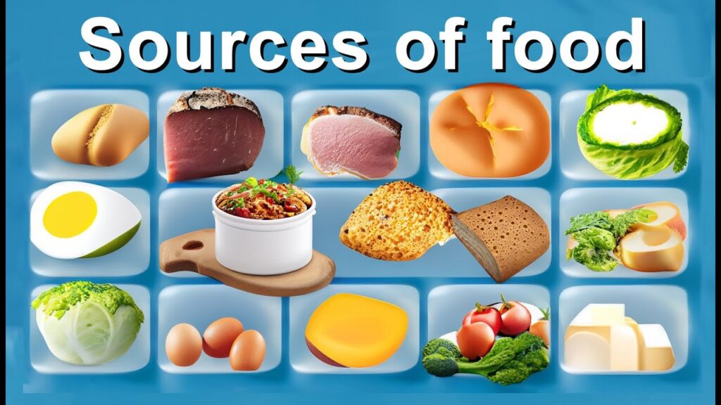 Classification of Food and their Sources - ClassNotes.ng