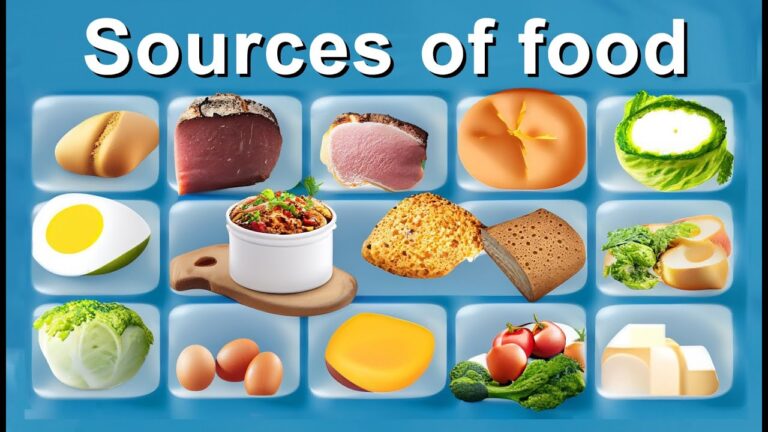 Classification of Food and their Sources - Class Notes