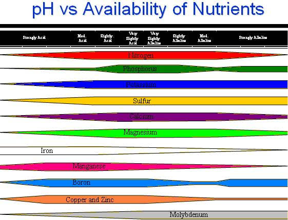 Role of Soil pH in Nutrient Availability - ClassNotes.ng
