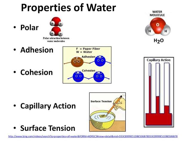Unique properties of water (cohesion, adhesion, capillarity, surface ...