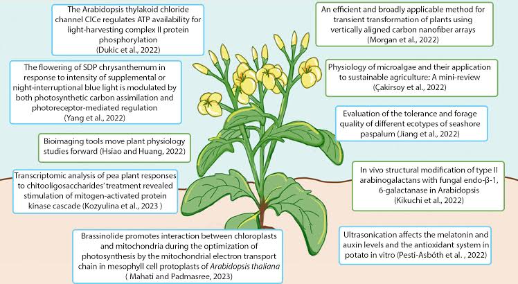 Review of research papers on plant physiology - Class Notes