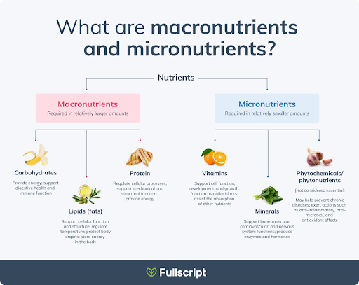 Essential nutrients and their classification (macronutrients vs ...