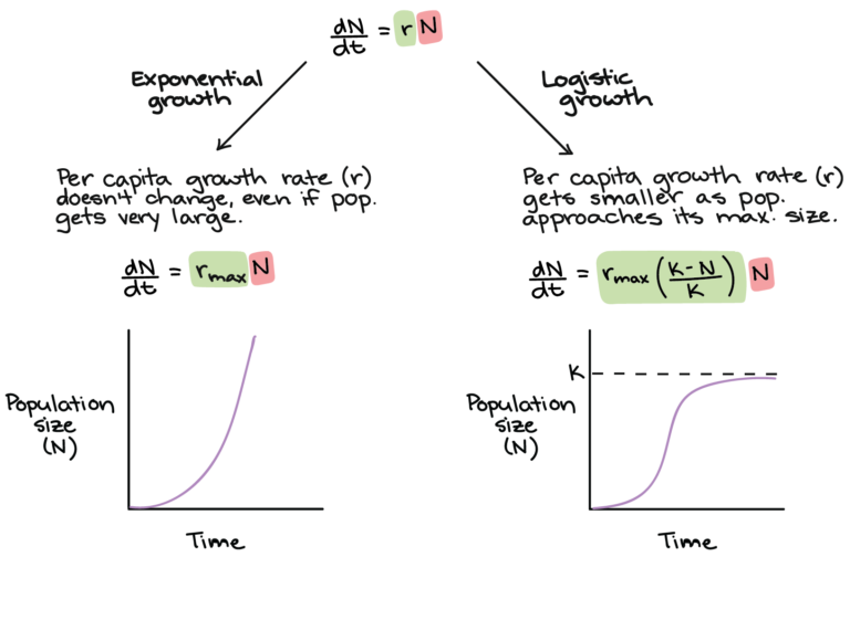 Population growth models (logistic vs. exponential growth - ClassNotes.ng