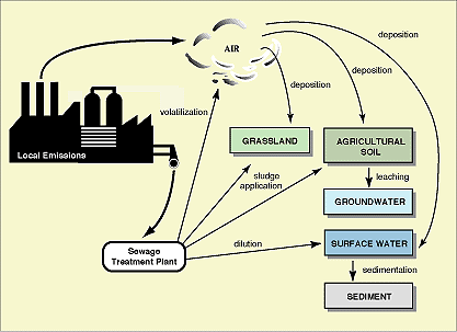 Ecological risk assessment - Class Notes