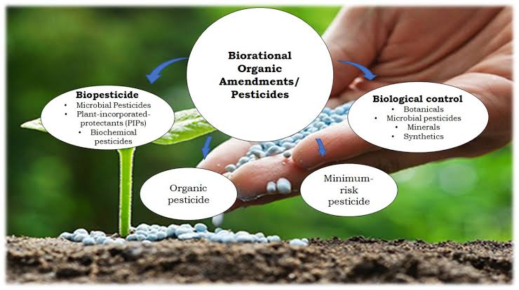 Applications in producing disease-free, high-yield plants - ClassNotes.ng