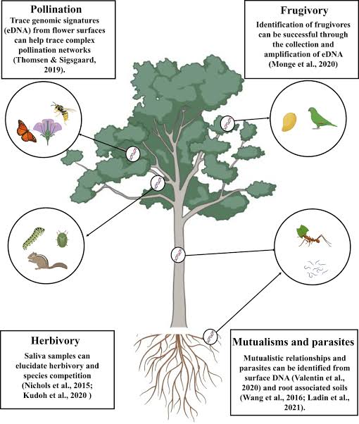 Relationship between plants and their environment - ClassNotes.ng