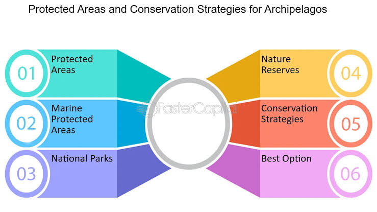 Conservation strategies (protected areas, afforestation, ecological ...
