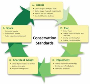 Conservation strategies (protected areas, afforestation, ecological ...