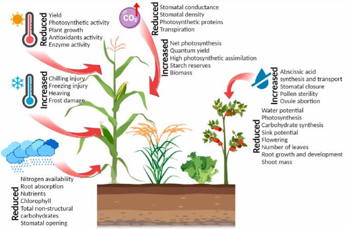 Global climate change and its impact on plant distribution - Class Notes
