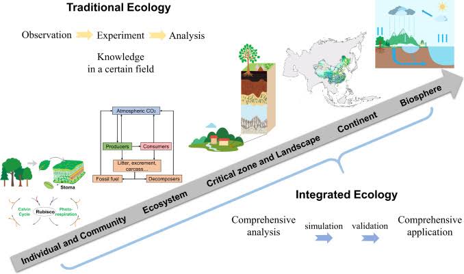 Research presentations on local ecosystem studies - Class Notes