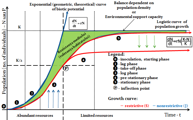 Population growth models (logistic vs. exponential growth - ClassNotes.ng