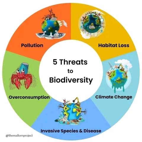 Threats to biodiversity (invasive species, climate change, habitat loss ...