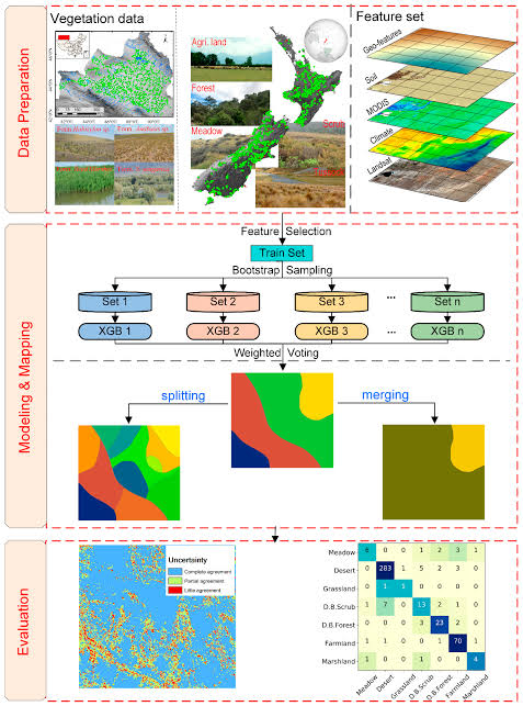 Mini fieldwork: vegetation mapping - ClassNotes.ng