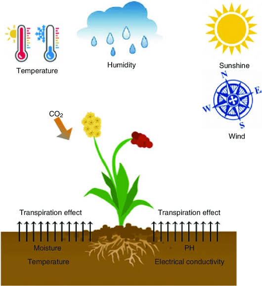 Factors affecting transpiration rate - ClassNotes.ng
