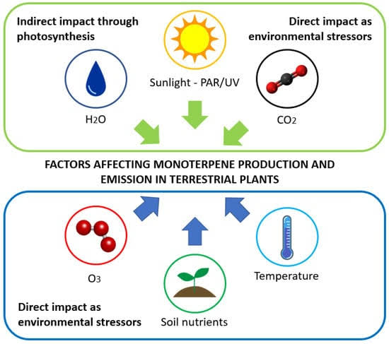 Factors affecting transpiration rate - Class Notes