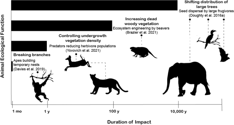 Examples and ecological roles - Class Notes