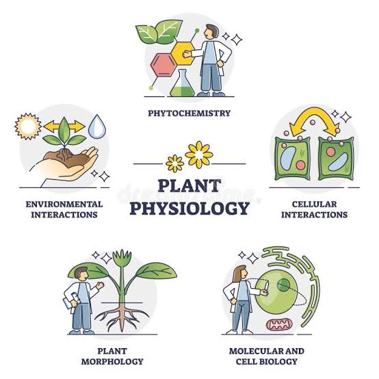 Techniques in plant physiological research - Class Notes