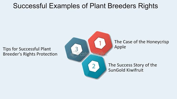 Patents, copyrights, and plant breeders' rights - ClassNotes.ng