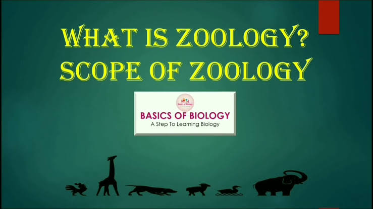 Definition and scope of zoology - ClassNotes.ng