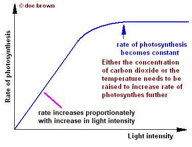 Factors affecting photosynthesis (light intensity, CO₂, temperature ...