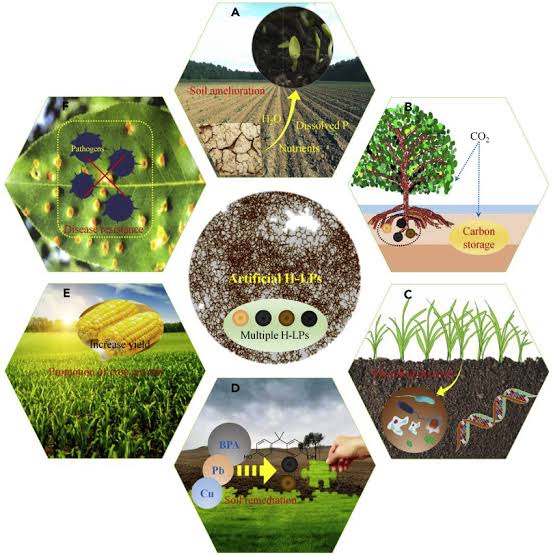Practical applications in agriculture - Class Notes