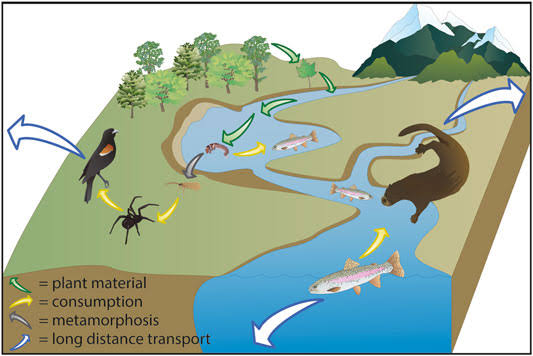 Aquatic and terrestrial habitats - Class Notes