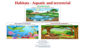 Aquatic and terrestrial habitats - ClassNotes.ng