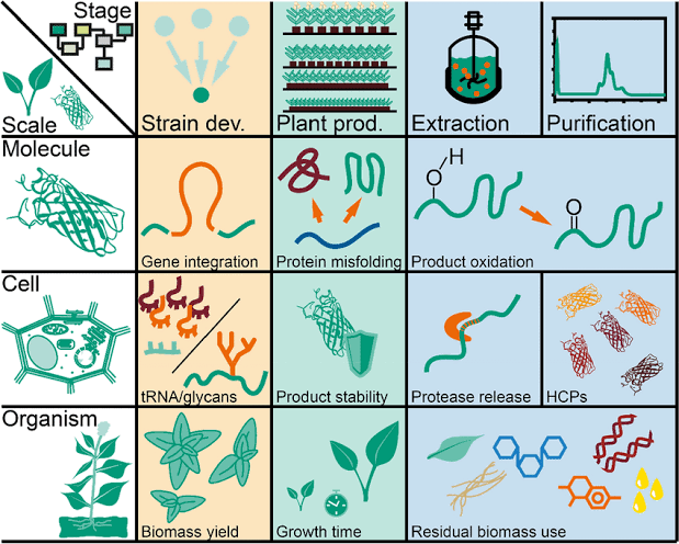Applications in gene annotation and molecular breeding - ClassNotes.ng