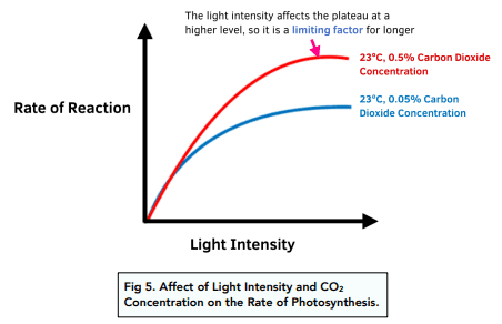Factors affecting photosynthesis (light intensity, CO₂, temperature ...