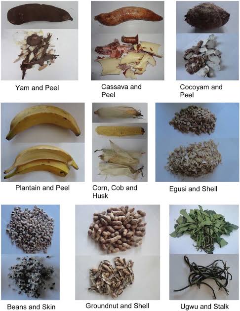 Staple food crops in Nigeria and their origins - ClassNotes.ng