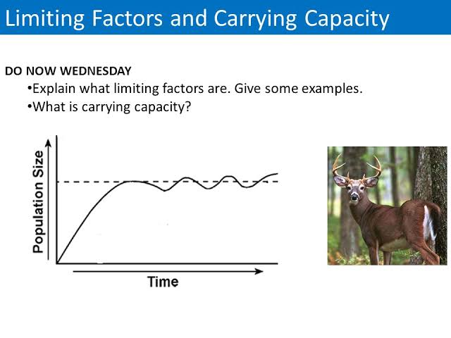 Limiting factors and carrying capacity - Class Notes