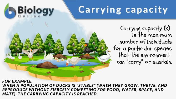 Limiting factors and carrying capacity - ClassNotes.ng