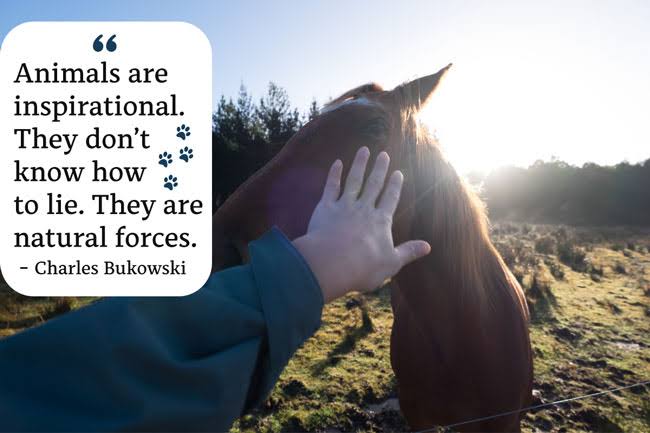 Importance of animals to humans and the environment - ClassNotes.ng