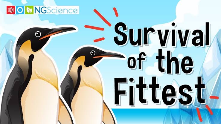 Natural selection and survival of the fittest - ClassNotes.ng