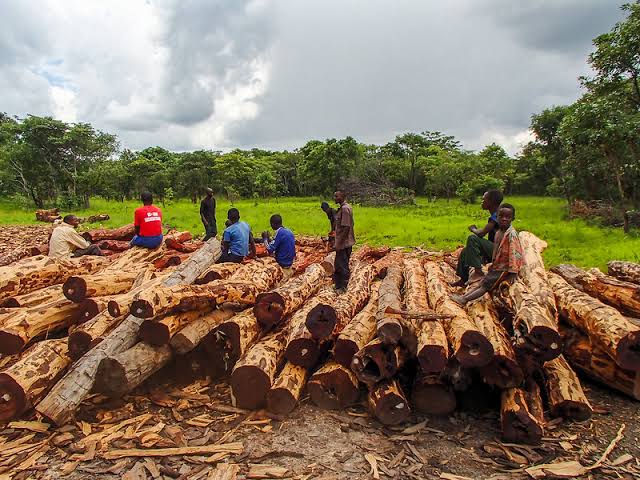 Timber species, uses, and trade - Class Notes