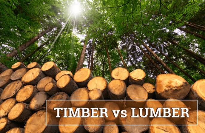 Timber species, uses, and trade - Class Notes