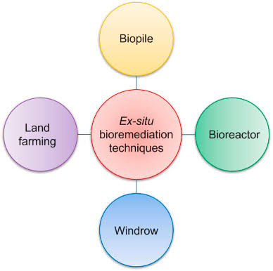 Ex-situ and in-situ strategies - ClassNotes.ng