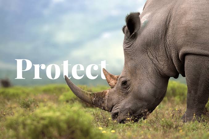 Endangered species and conservation - Class Notes
