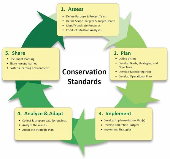 Conservation strategies and policies - ClassNotes.ng