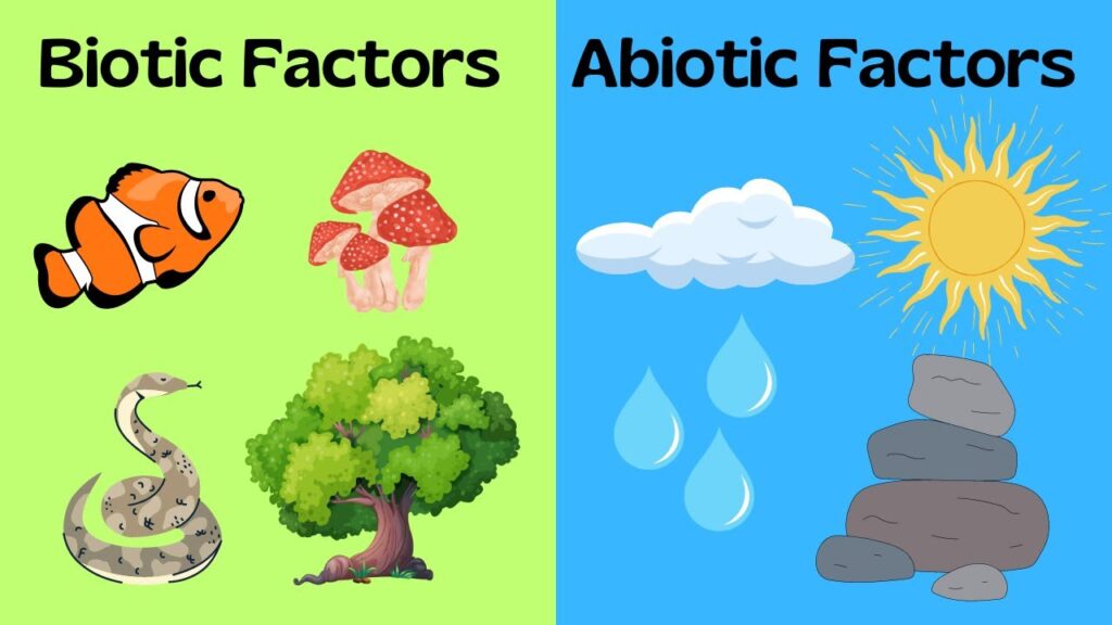 Biotic and abiotic components - ClassNotes.ng
