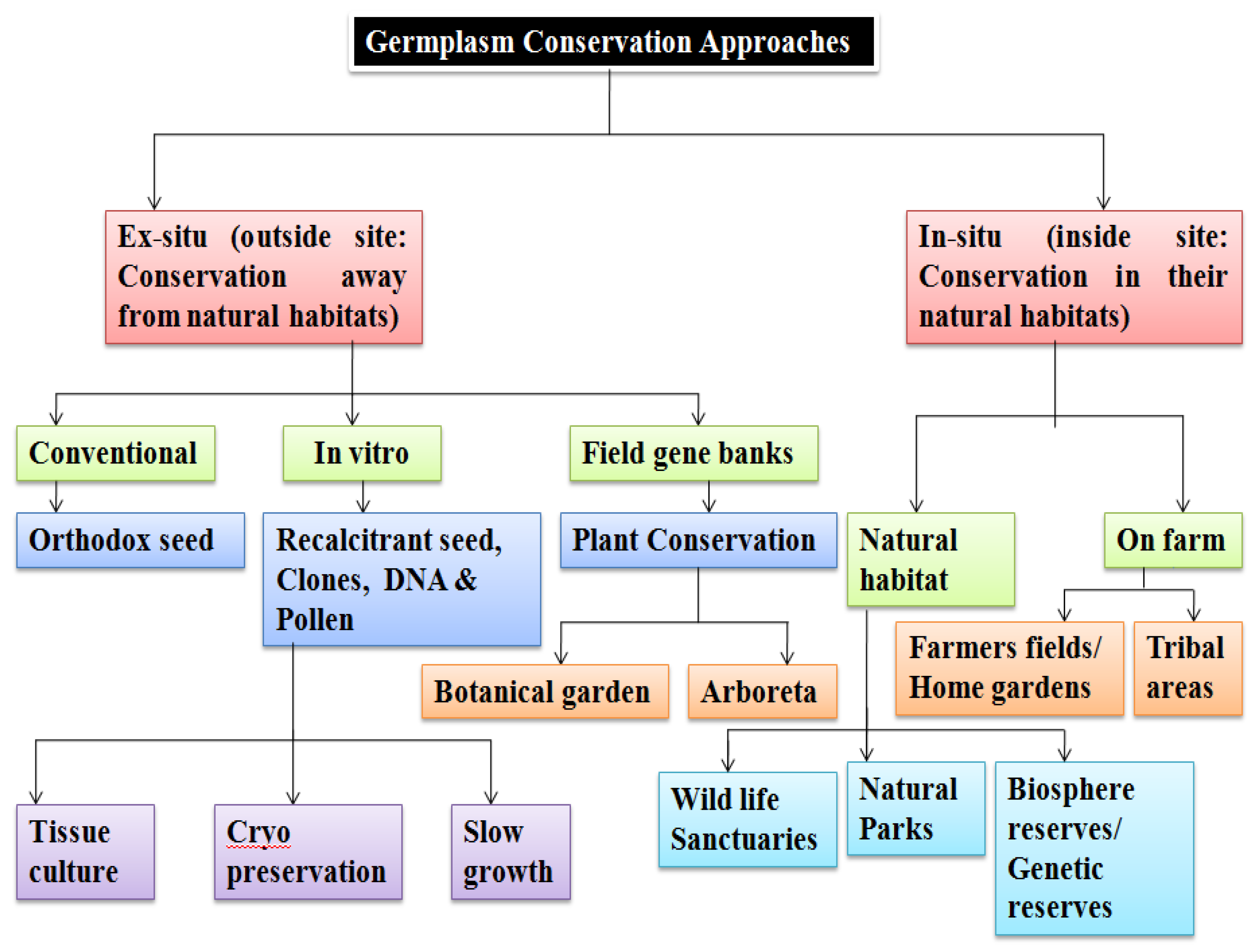 Hands-on test, short presentations, and feedback - ClassNotes.ng