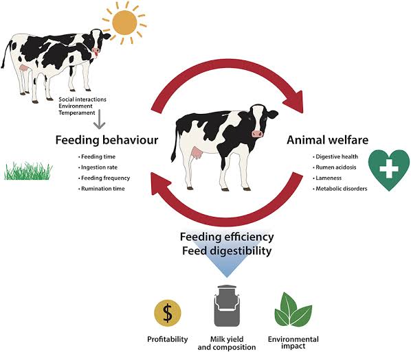 Structure, Feeding, And Behavior - ClassNotes.ng