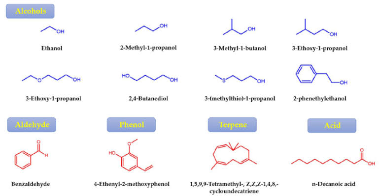 Alcohols, Halogens, Phenolics, Aldehydes - Class Notes