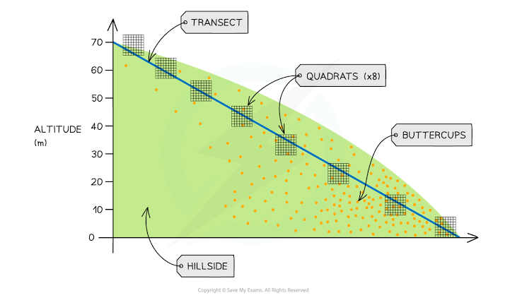 Quadrat And Transect Methods - ClassNotes.ng