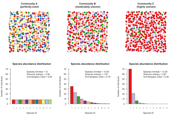 Species Richness, Evenness, Simpson's And Shannon Indices - ClassNotes.ng